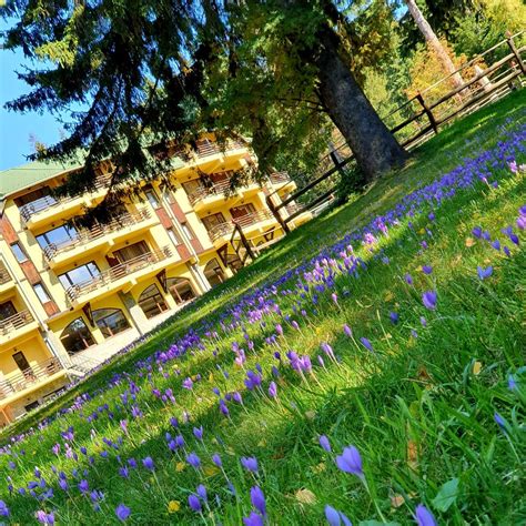 Organizația Patronală Mamaia Constanța Petrece O După Amiază Inedită