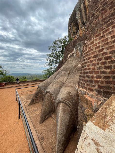 06화 바위 위에 세운 불멸의 왕국 시기리야