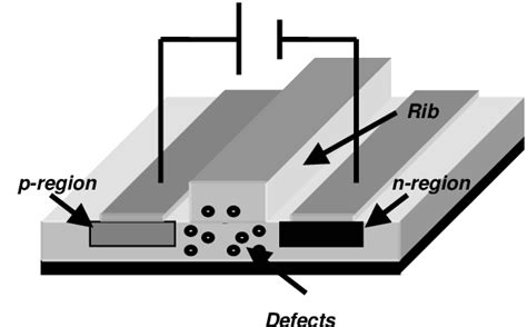 Schematic Representation Of The Waveguide Detector Download Scientific Diagram