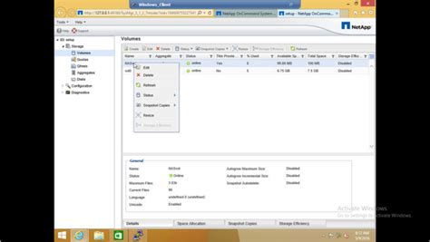 Module 3 Creation Of Aggregates And Volumes Netapp And Vmware Labs