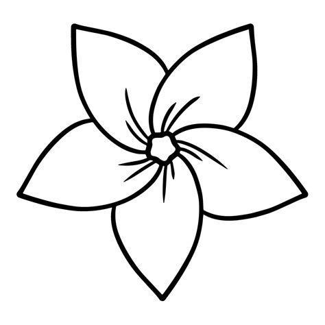 Daphne Flower Coloring Hand Drawing 70120432 Vector Art At Vecteezy