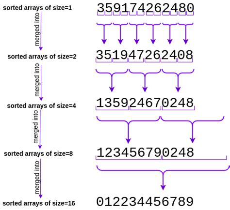 Sorting Algorithms Mergesort Sorter Coder
