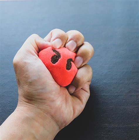 Conflict Management “the Interest Based Relational Approach”