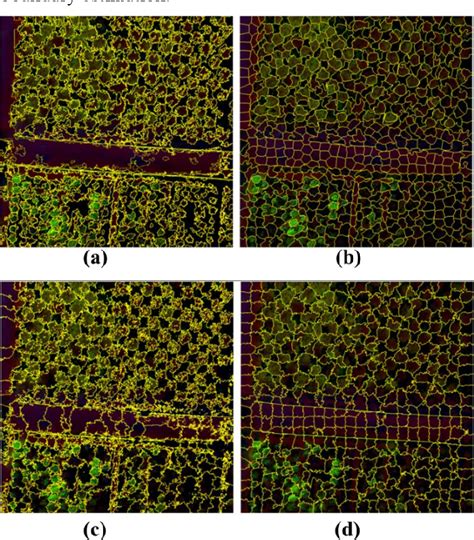 Figure 3 From Automatic Object Based Plant Level Crop Segmentation In Drone Based Hyperspectral