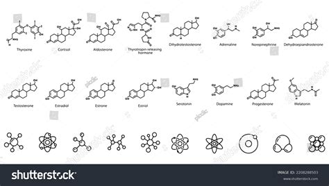 Vektor Stok Hormones Chemical Structures Set Hormone Internal Tanpa Royalti 2208288503