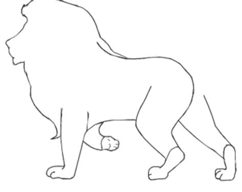 Menggambar Sketsa Singa Cartoon Infozani