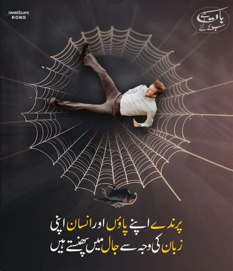 ghazanfar hussain posted on linkedin
