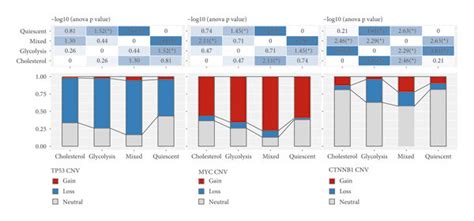 Mutation Features And Cnv Difference Among Four Molecular Subtypes In Download Scientific