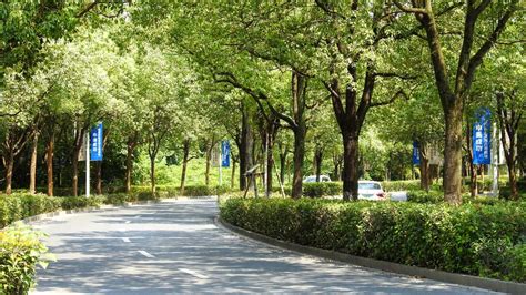 Black Beach Surface Ground Rock Texture Pattern Powerpoint Background