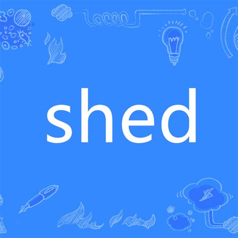 Shed（英语单词）百度百科