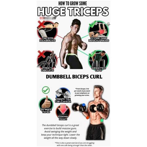 HOW TO GROW SOME HUGE TRICEPS WORKOUT PLAN Triceps Biceps And Triceps Biceps