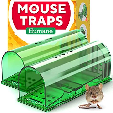 Top 5 Best Chipmunk Traps Curated List Of 2026