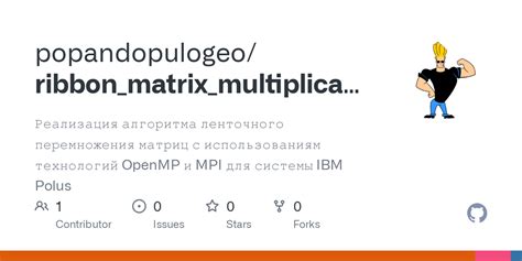 Github Popandopulogeoribbonmatrixmultiplicationcmc Реализация