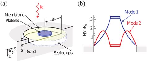 7 Construction Of The A Unit Cell And B Resonant Modes Of The Download Scientific Diagram