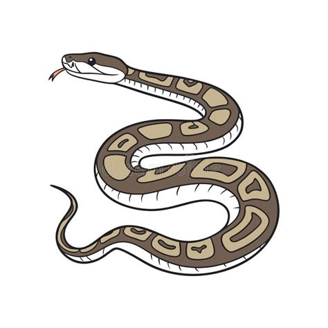 Lifelike Carpet Python Nature Graphic Stock Illustration Illustration Lifelike Carpet Python Nature Graphic Stock Illustration Illustration