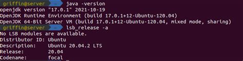 Reflections Does Not Detect Any Classes If Base Class Or Package Prefix Is Passed As