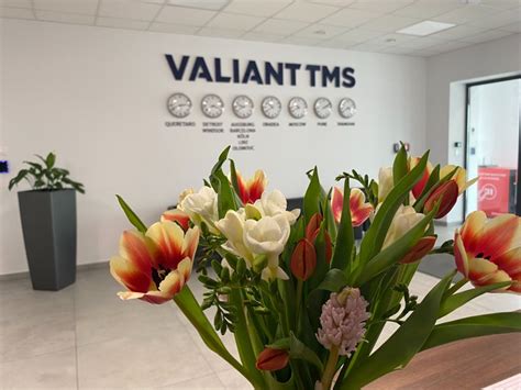 Raluca Sarca On Linkedin Happy International Womens Day 🌸