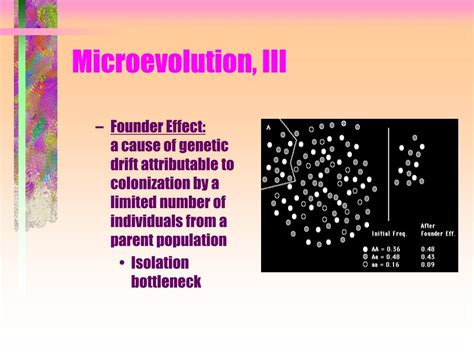 Ppt Chapter 23~ The Evolution Of Populations Powerpoint Presentation
