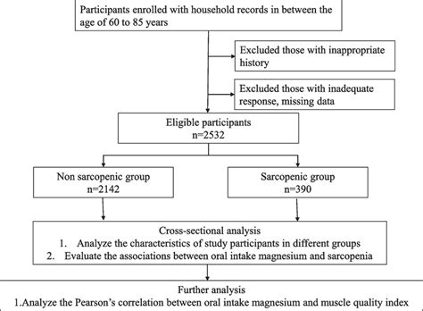Flow Chart Representing The Steps Of Analysis Performed In The Study