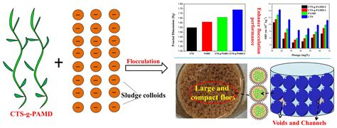 Polymers Free Full Text Chitosan Modified Cationic Polyacrylamide