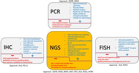 Colorectal Cancer Ngs Test At Carlos Snyder Blog