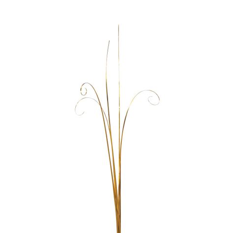 Gold Bear Grass Decopac