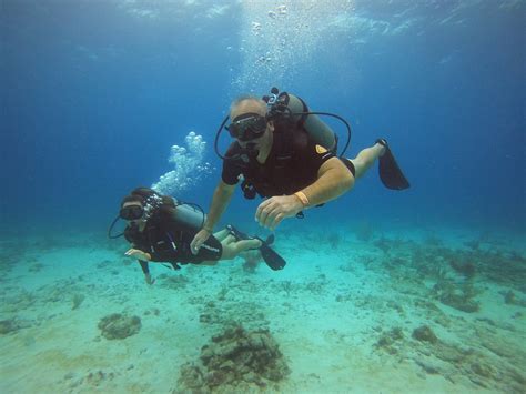 Scubacaribe Cancun All You Should Know Before Going 2026 Reviews