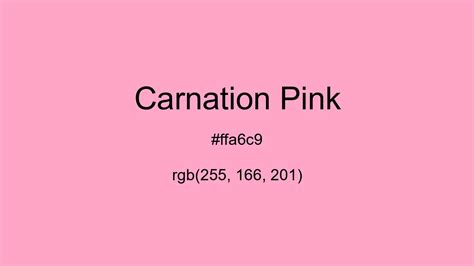 Carnation Pink Color Hex And RGB Values CSSColors