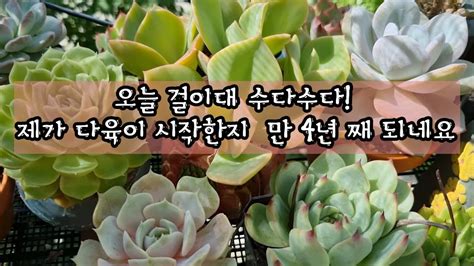 오늘 걸이대 벌써 만으로 4년째 아직도 초보인 다부댁 Youtube