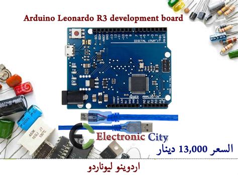 Arduino Leonardo R3 Development Board S12 010311 Electronic City