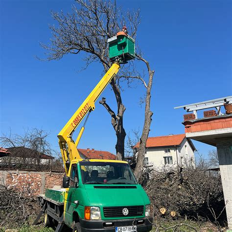 Рязане и кастрене на дървета Кове