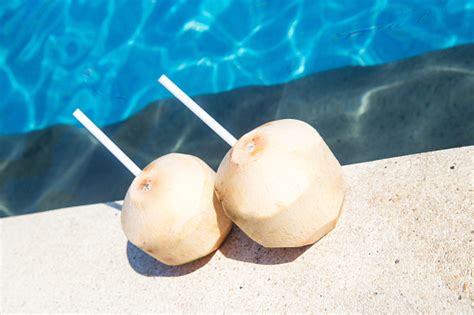 수영 풀의 가장자리에 두 젊은 신선한 코코넛 열 대와 여름 분위기 건강한 식생활에 대한 스톡 사진 및 기타 이미지 건강한 식생활 고급 호텔 과일 Istock