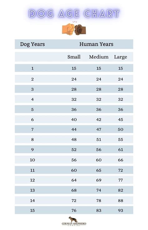 Dog Years Dog Age Chart German Shepherd Country