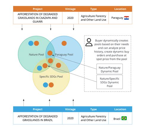 carbon credit dynamic pooling what is it thallo