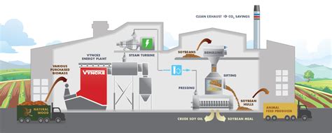 Types Of Soybean Processing Methods
