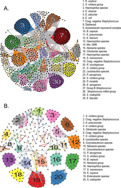 Clustering Of Sequenced Isolates By Genomic Similarity A Network