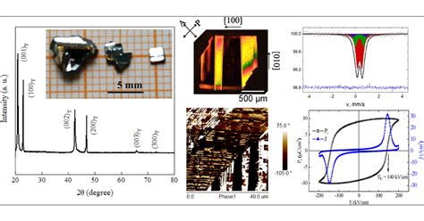 multiscale domain structures and ferroic properties of dy modified