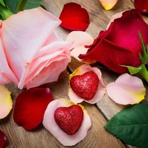 Sameera Bachirou Simranebachir • Threads Say More