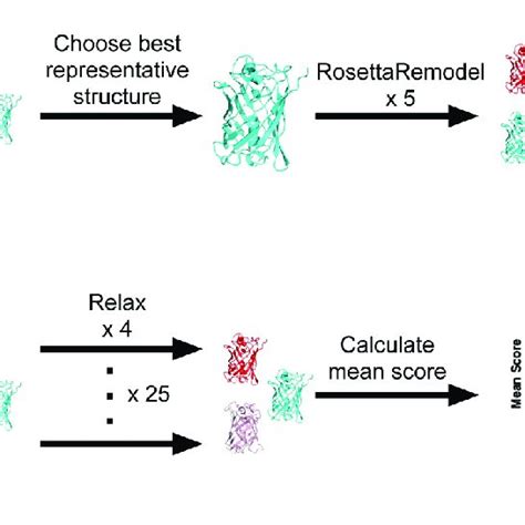 Visualization Of The Computational Modeling Pipeline Colors Represent Download Scientific