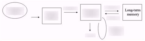 The Multi Store Model Of Memory Atkinson And Shiffrin 1968 Diagram Quizlet
