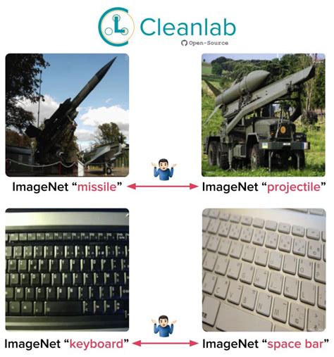 🤔 Did You Know The Famous Imagenet Dataset Has Some Very Confusing