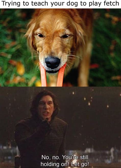Let It Go Meme Dog