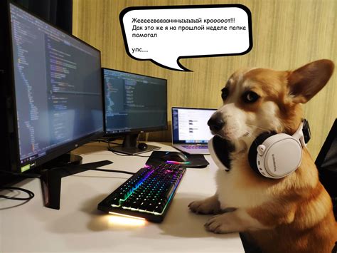 Собака За Компьютером 52 фото