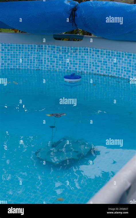 The Robot Is Placed At The Bottom Of The Pool A Chlorine Diffuser Is