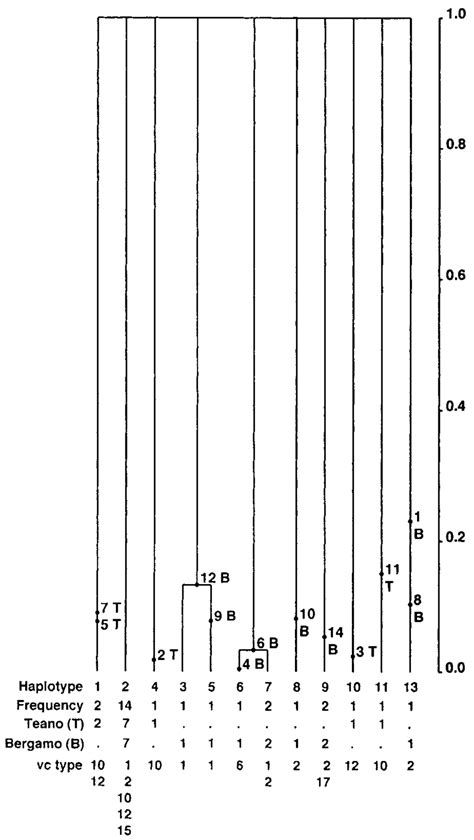 Coalescent Based Gene Genealogy With The High Download Scientific
