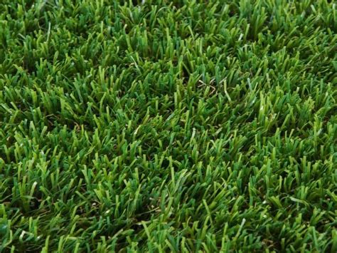 Grass Roll Artificial Grass Roll 22mm