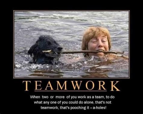 50 Funny Teamwork Memes For Any Office Situation