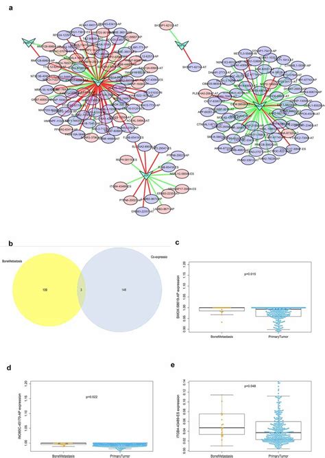 Alternative Splicing Network And Clinical Relevance A Regulatory