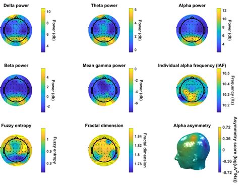 BrainBeats As An Open Source EEGLAB Plugin To Jointly Analyze EEG And Cardiovascular Signals