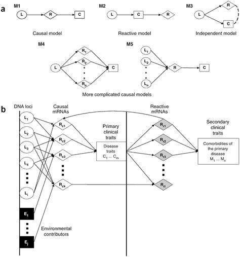 Using Qtl Data To Infer Relationships Between Rna Levels And Complex Download Scientific